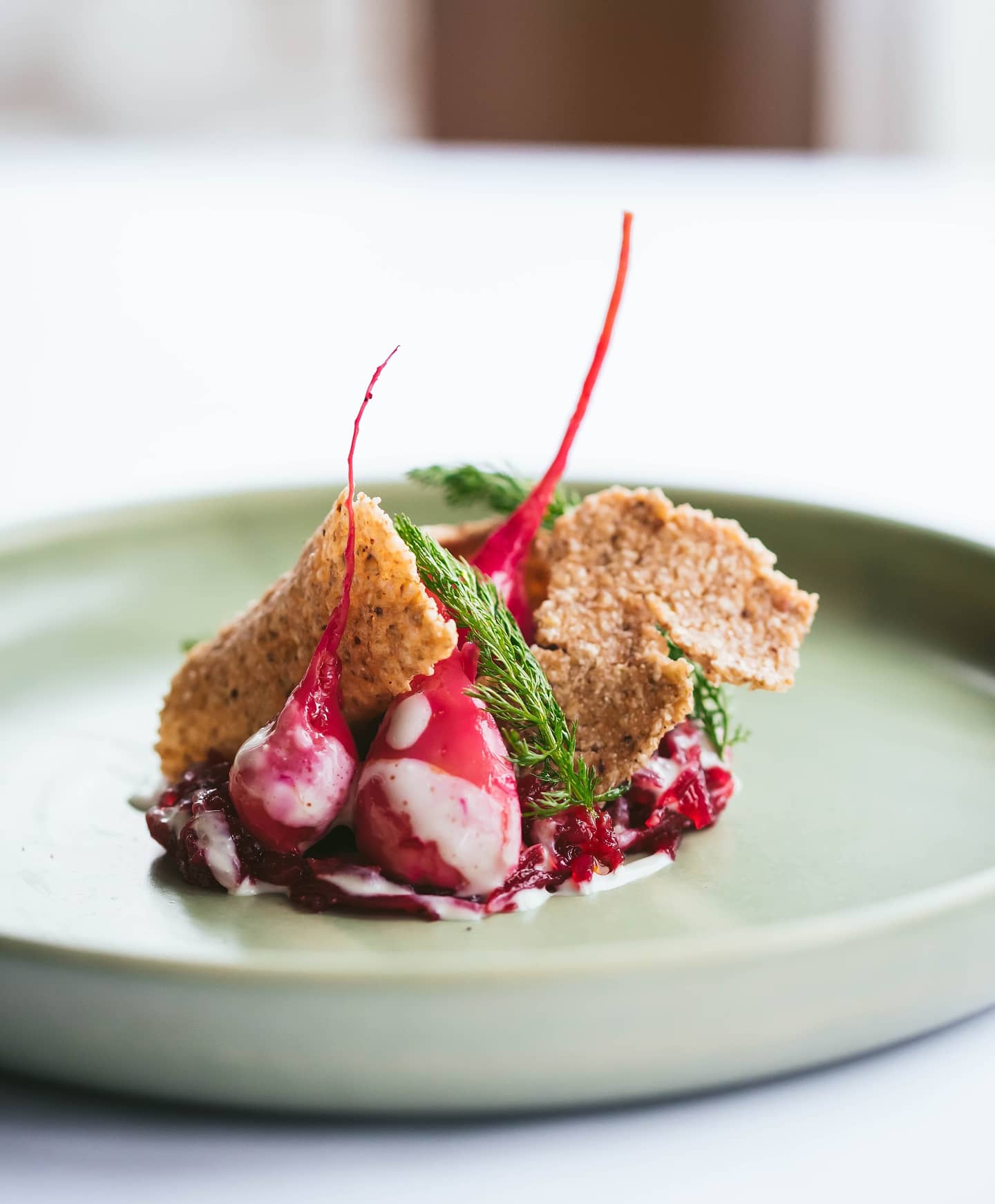 Seasonal Menu - Sault Restaurant