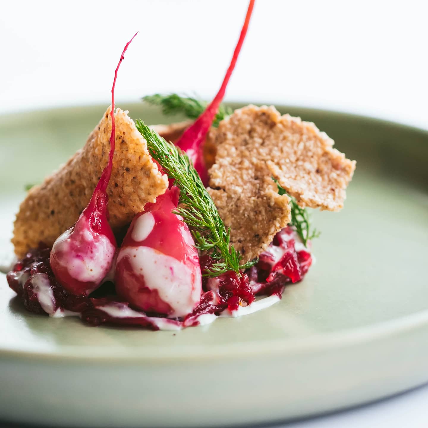 Seasonal Menu - Sault Restaurant