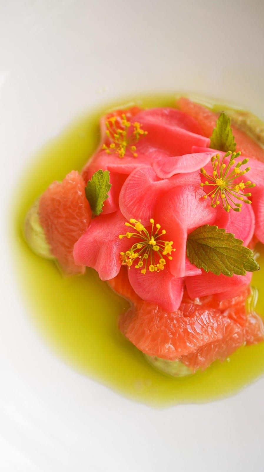 Seasonal Menu - Sault Restaurant