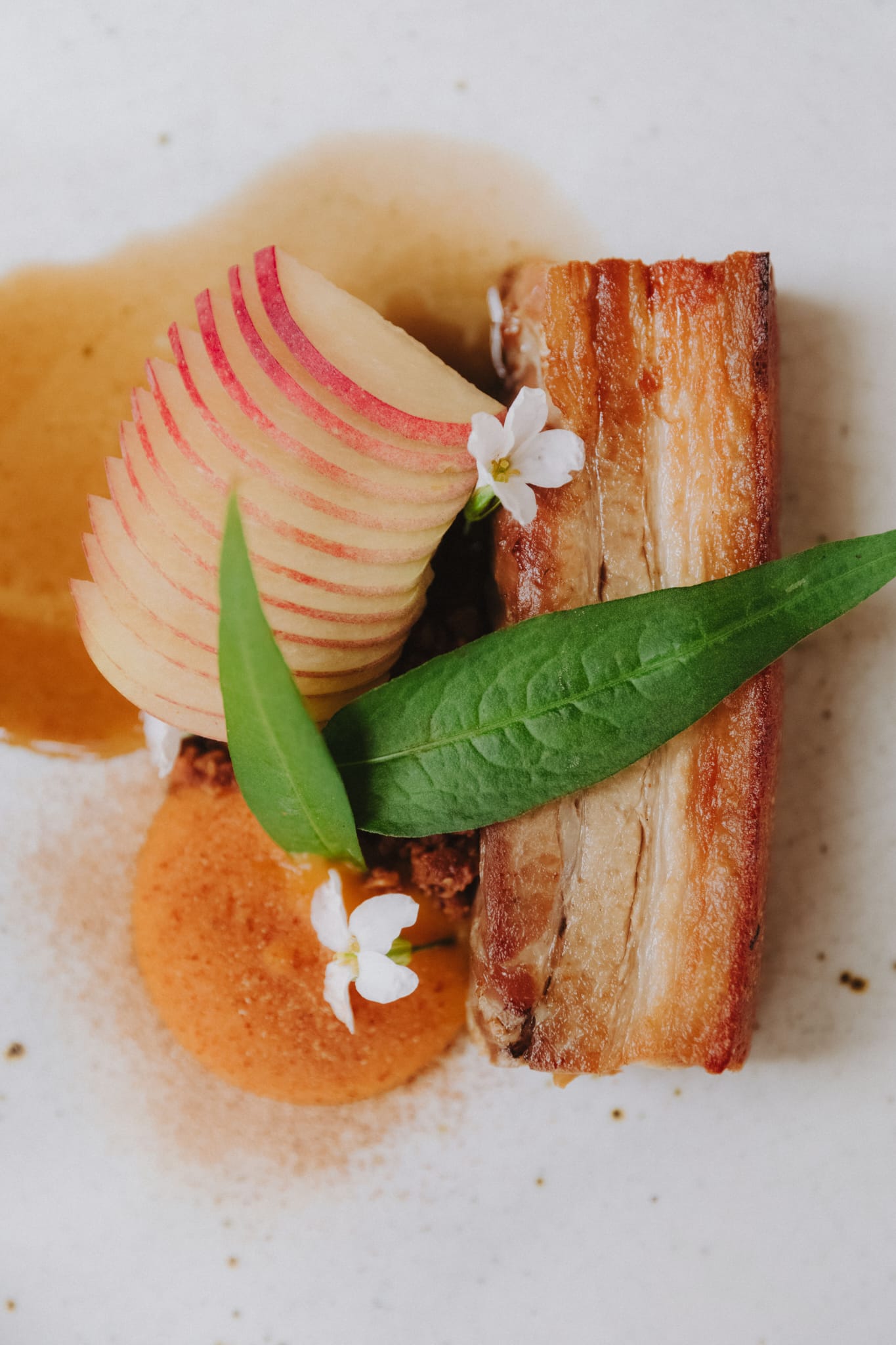 Seasonal Menu - Sault Restaurant